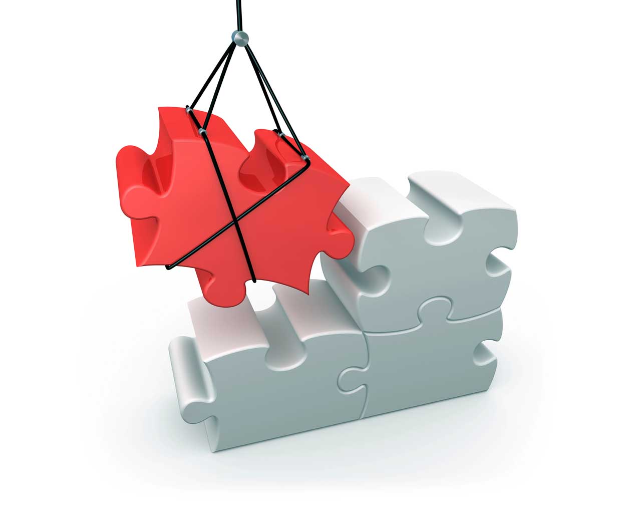 Buy and build: platform or cluster approach? - FBM Corporate Finance